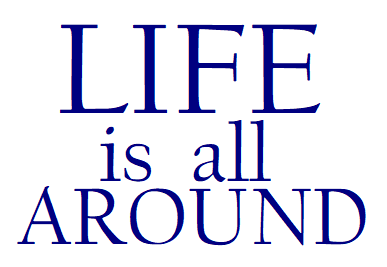 Life is all Around: an approach to Life. See life from a different angle.
